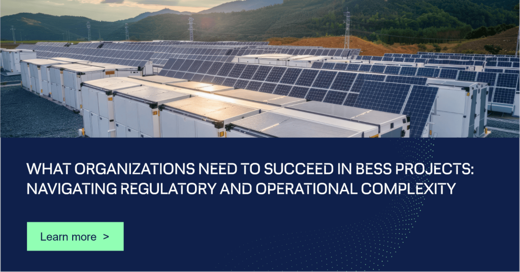What organizations need to succeed in Battery Energy Storage Systems ...